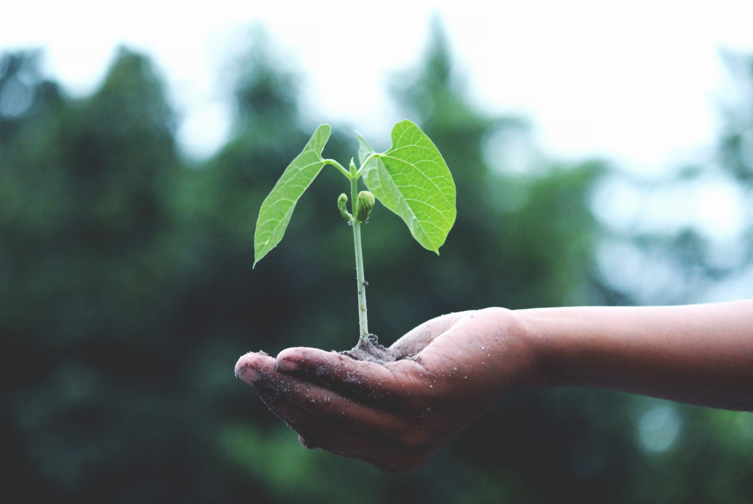 Movilex - Committed to the environment